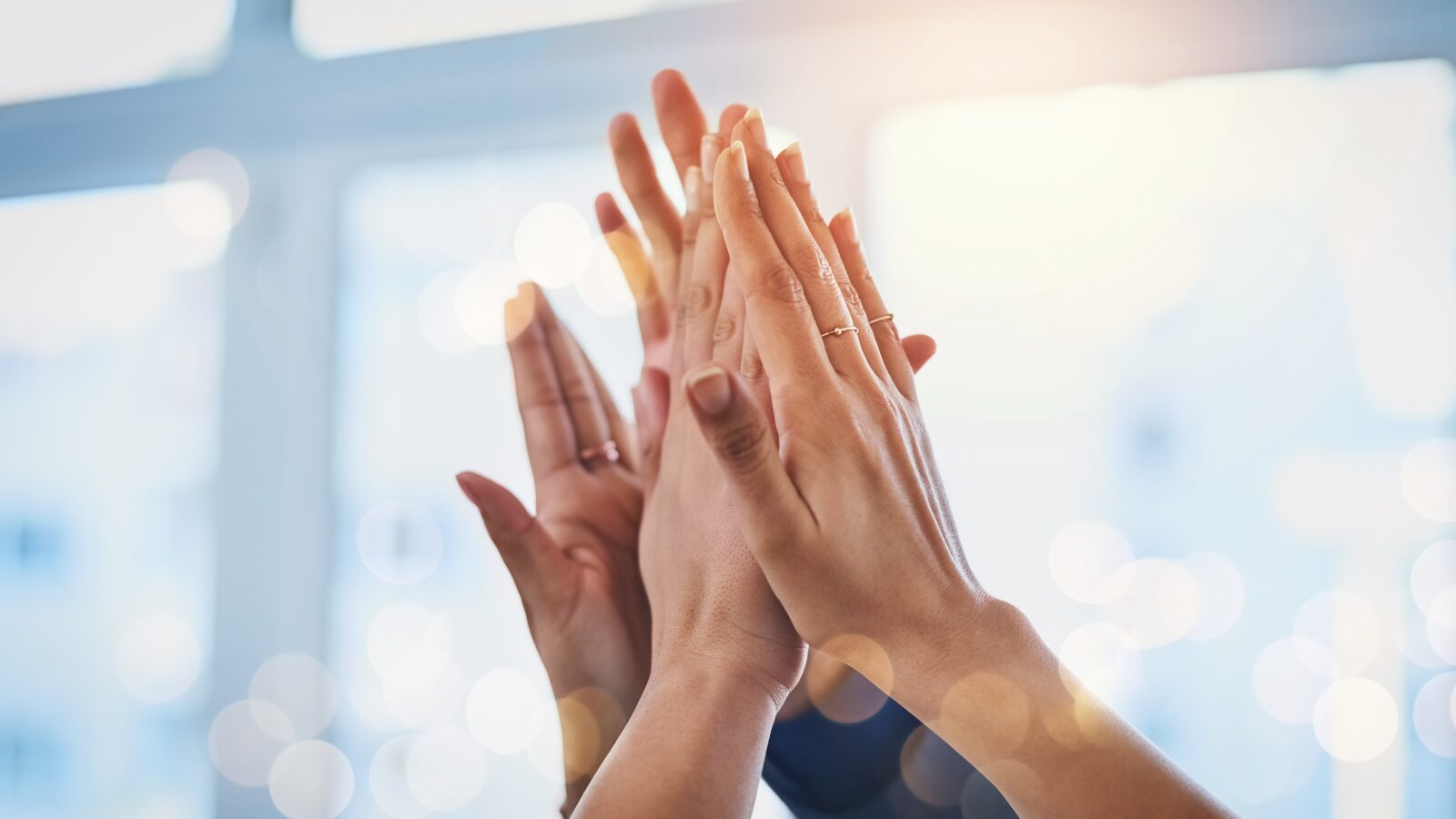 Én faktor afgør dit teams succes - lederweb
